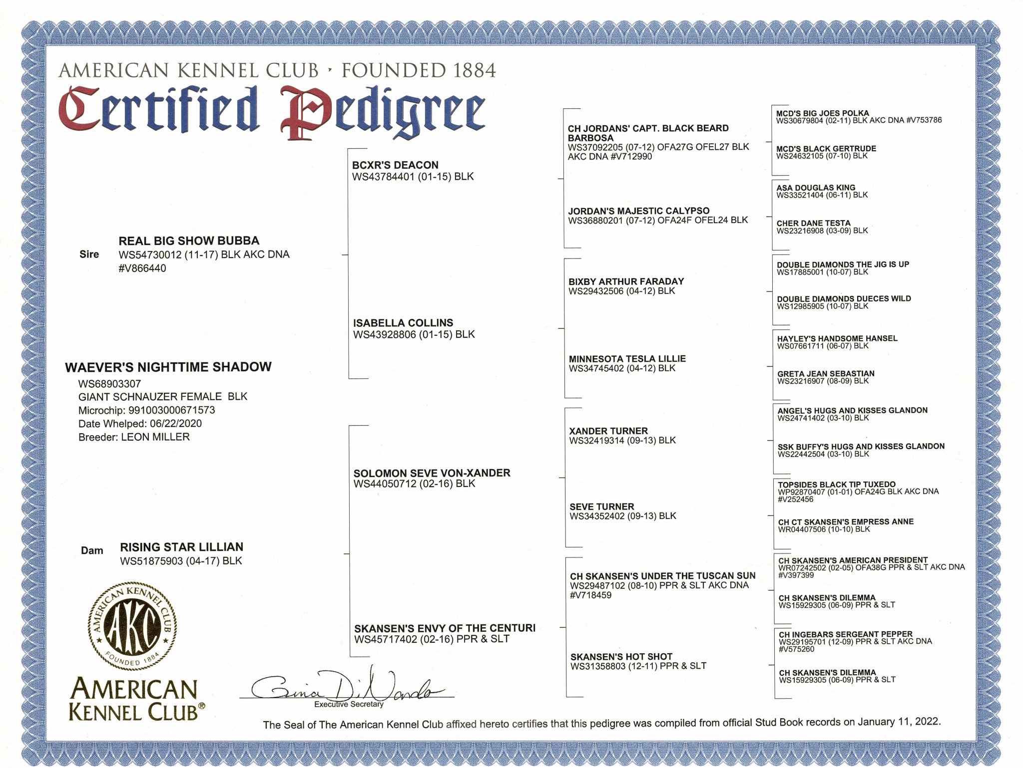 Sires/Dams - Weaver's Giants