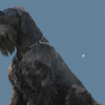 Shop - Weaver's Giants